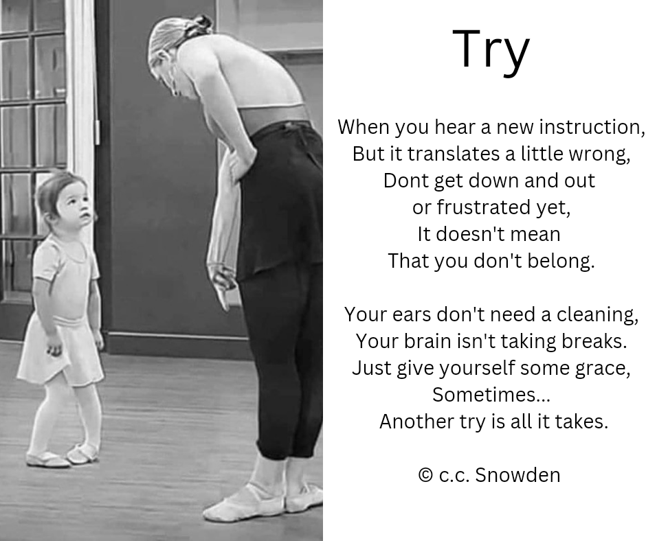 Try – Poetry by Carolyn Cantrell Snowden